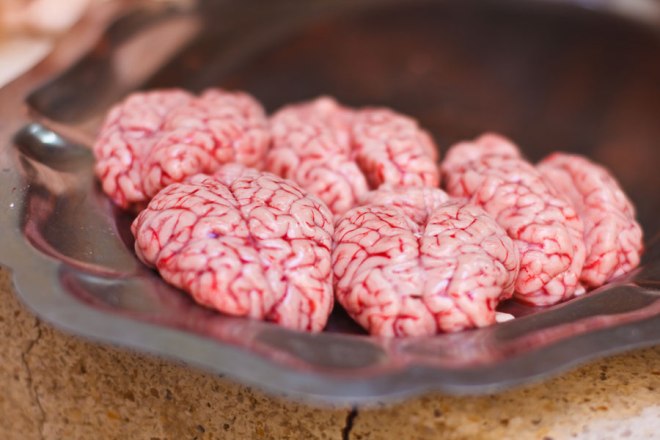 If we eat animal brains, will we be smart? | Nourishing Our Children