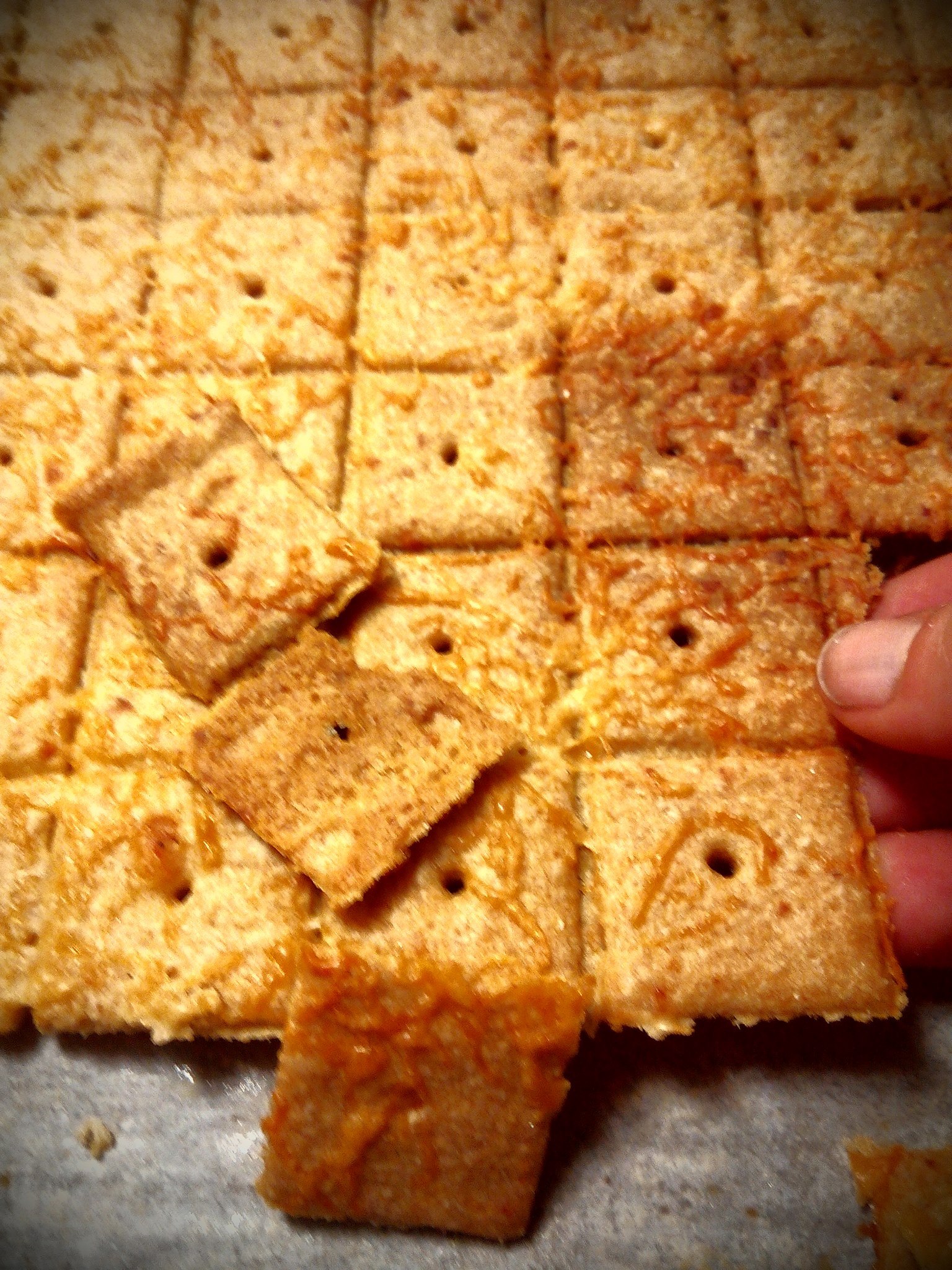 Nourishing Traditions Friendly Cheez-It Crackers | Nourishing Our Children
