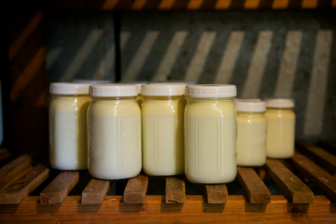 Got Real Milk? Chances Are, You Don’t | Nourishing Our Children